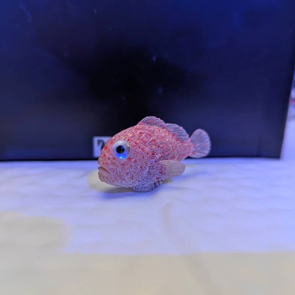 Fake Snail Aquarium - Etsy