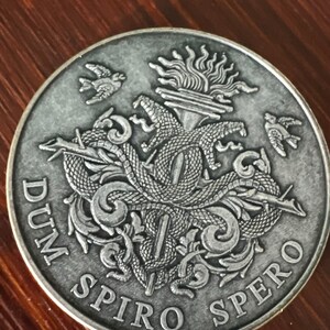 Dum Spiro Spero Coin EDC Reminder Coins Hope Challenge Coin Medallion ...