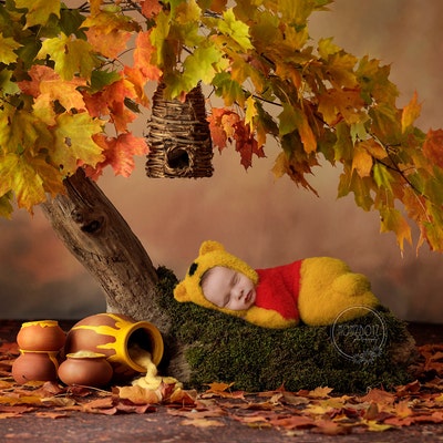 Digital Backdrop, Background Newborn Baby Girl or Boy Teddy Bear Honey ...