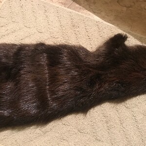 Red Fox Neckwarmer or Red Fox Neck Warmer With Tail. | Etsy