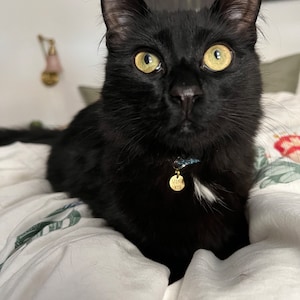 12mm Custom Tiny Tag, Small Pet Tag, Dog Tag, Puppy Tag, Kitten Tag ...