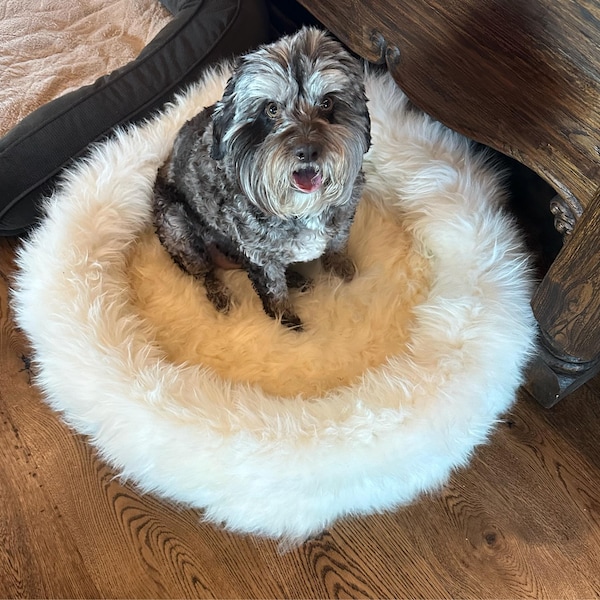 A Dog Bed, Sheepskin, Long Wool, for Your Dog or Cat, Bed, House ...