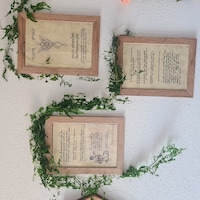 3 Skyrim Beverages Stickers Skooma, Honningbrew and Black-briar Mead ...