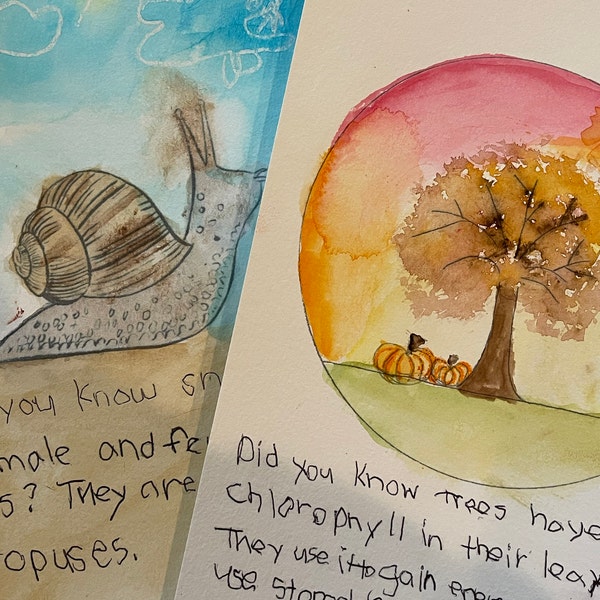 Spring With Peter Rabbit Learning Collection - Etsy