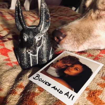 Relief Panel Two Baboons Offering the Wedjat Eye to the Sun - Etsy