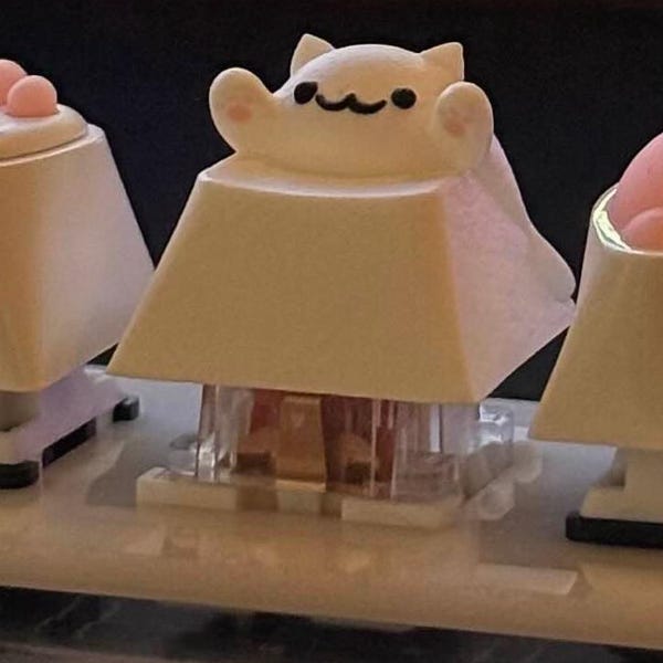 Catty Keycap (bongo Cat Meme Inspired) - Bongo Cat Keycap - Artisan ...