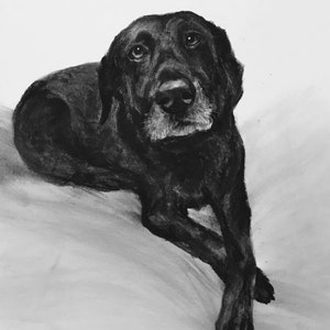 Custom Pet Portrait Charcoal Custom Dog Portrait Pet Commission Custom ...