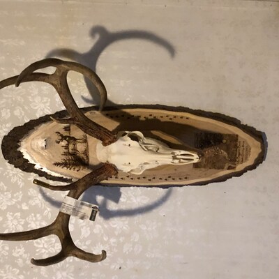 First Buck First Deer Deer Hunting Frame Custom Frame - Etsy