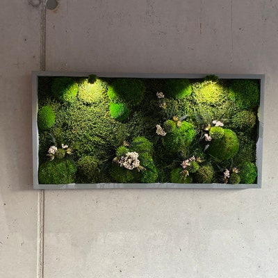 Beautiful Preserved Moss Artwork With LED Lights Live Moss LED Wall Art ...