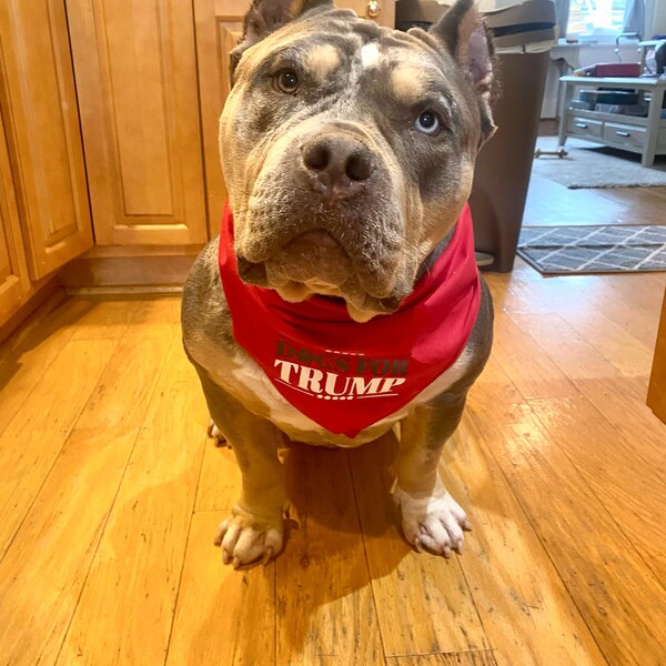 Custom Word Decals - Etsy