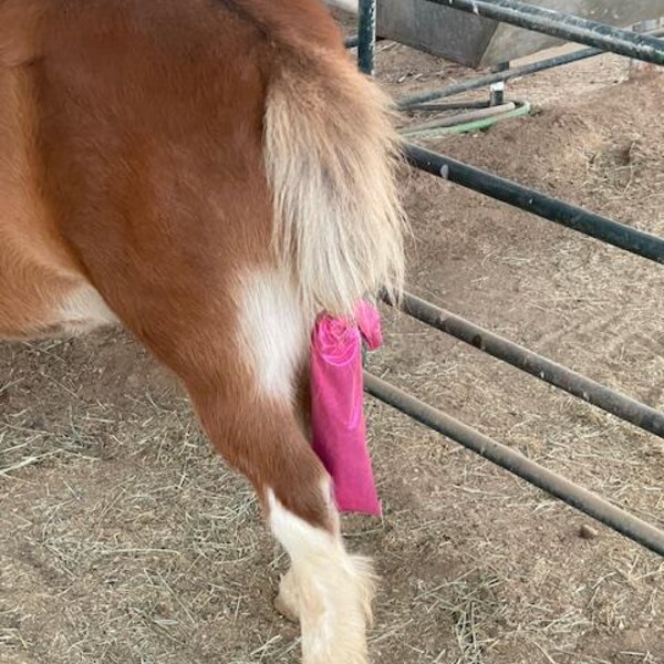 Western Brand Tail Mane Bag Set, Horses Tail Mane Bag Set, Mane Bag Set ...