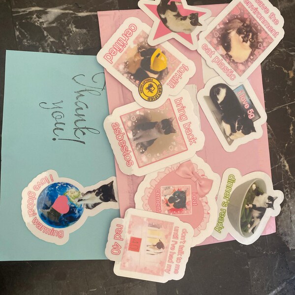 Forklift Certified Cute Cat Unisex Pullover Hoodie - Etsy