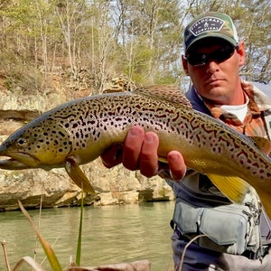 4 Chocolate Midge Emerger. Midges and Emergers. Foam Wing. Fly Fishing ...