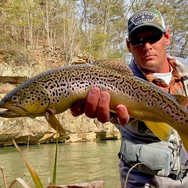 4 - Chocolate Midge Emerger. Midges and Emergers. Foam Wing. Fly ...