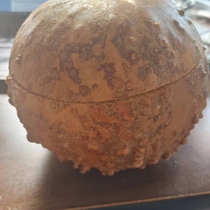 Ifa Diviners Necklace/odigba Ifa - Etsy