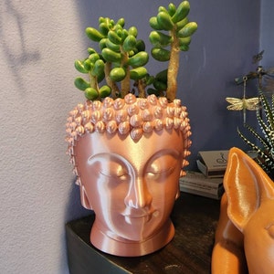 Lilo & Stitch Flower Succulent Pot Planter Air Plant Coin - Etsy