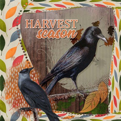 100 Real Fog Overlays: Real Fog Overlay, Photoshop Weather Photography ...