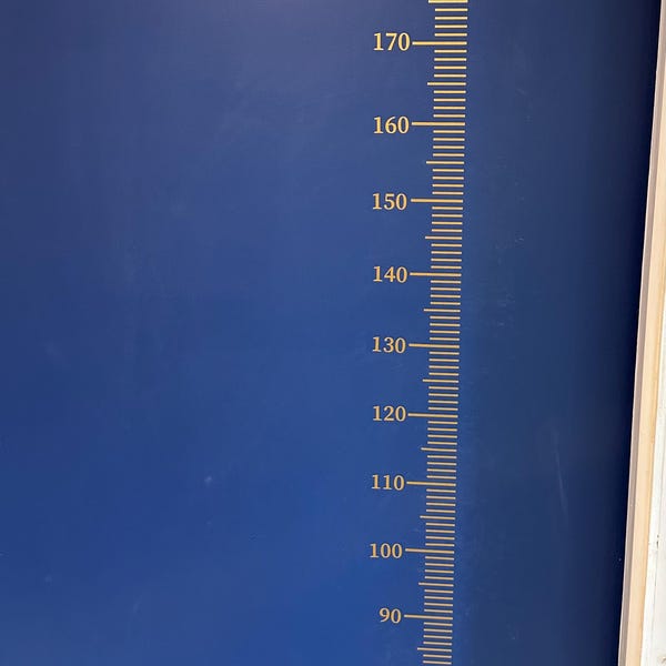 Wall Sticker HEIGHT CHART 7ft Feet and Inches Matt Black Kids Childrens ...