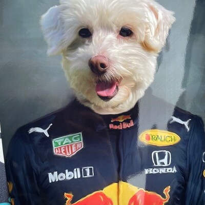 Red Ball Formula Racing Car F1 Driver Team Pet Portrait - Etsy