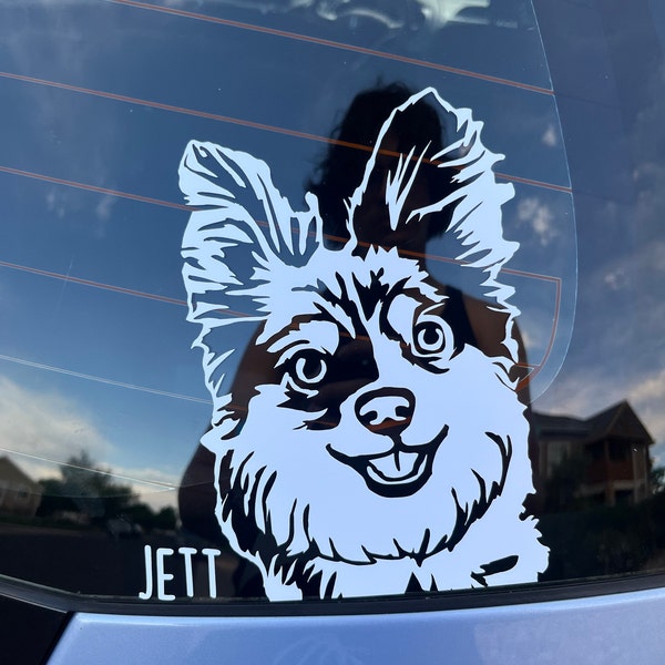 Pet Sticker/dog Car Decal/ Gift for Pet Lover/gift for Pet Owner ...