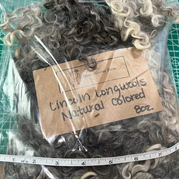 Raw Wool Lincoln Longwools Natural Colored - Etsy UK