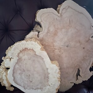 Poplar Burl Wood Slab 30x29x1.96 In Dry Slice for Table - Etsy