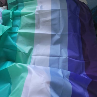 DIGITAL FILE: Printable Extended Pride Flag Reference Guide Includes ...