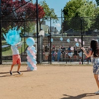 Baseball Gender Reveal Gender Reveal Baseballs in Pink or Blue Filled W ...