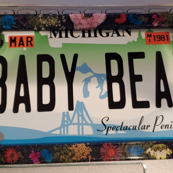 Custom Bicycle License Plates for Girls, Personalized With Any Name. 6 ...