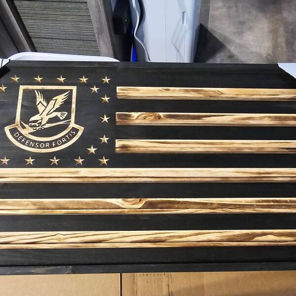 Air Force Defensor Fortis Coin Display Rack Holder - Rustic Air Force ...