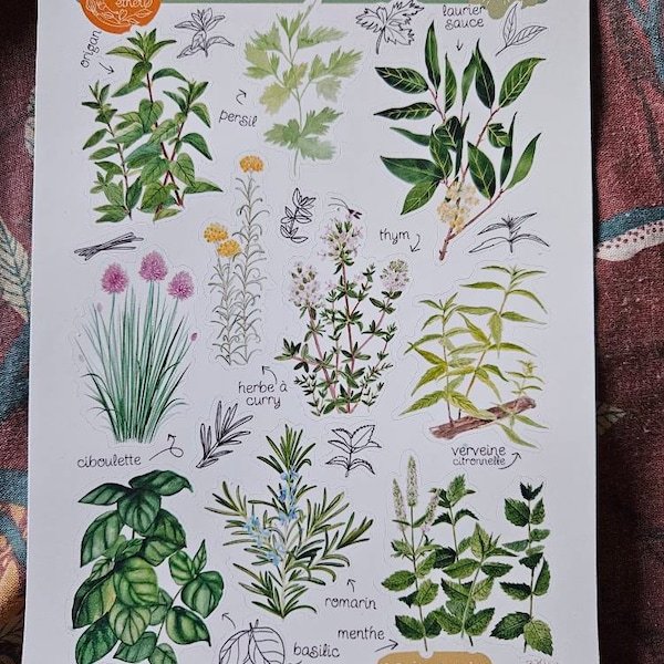Poster Medicinal Plants Watercolor Therapy Herbal Medicine Botanical ...
