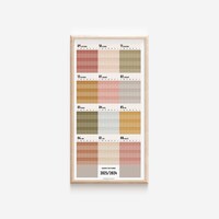 Exotic Eye Color Palette for Procreate Portrait Color - Etsy Canada