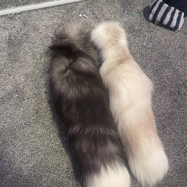 Eco Friendly Frost/indigo Fox Tails - Etsy