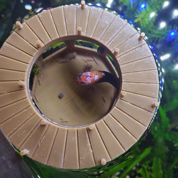 Floating Shrimp Dock Feeder: Aquarium Feeding Station - Etsy