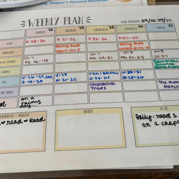 Weekly Plan Rainbow Homeschool Kids Printable Editable Schedule to Do ...