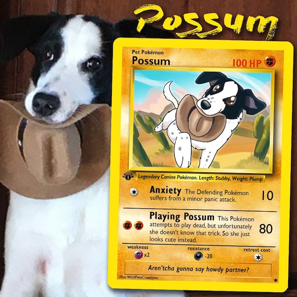 Your Pet as a Pokemon Card - Etsy