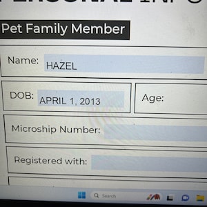 Surgery Planner Printable Procedure Tracker Fillable PDF for Your ...