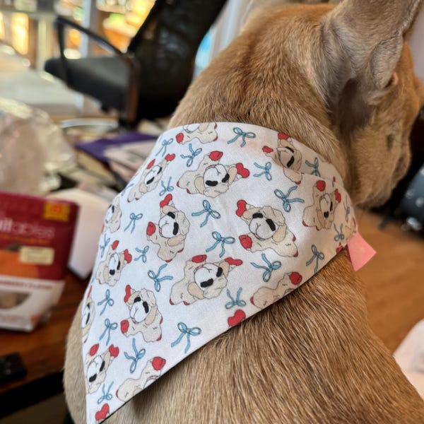 Give Thanks, Curved Neck Snap on Dog Bandana, Winter Pet Collar ...