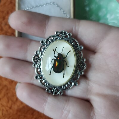 EARLIEST Gestation Real Tiny Pig Fetus Wet Specimen Vial Prenatal Piggy ...