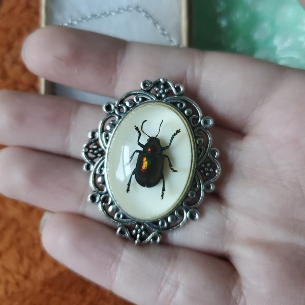 Red Fox Eye Taxidermy Open Heart Mount Acrylic Slit Eye Necklace ...