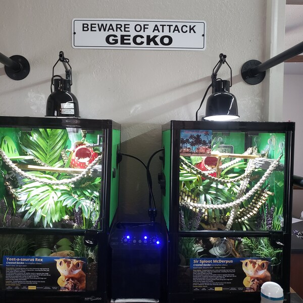 Beware of Attack Gecko 4" X 18" Aluminum Novelty Sign - Etsy