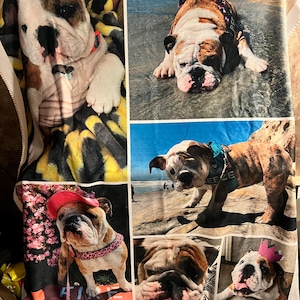 11 Pack Cute Vsco Stickers Pack Aesthetic Stickers for Hydro Water ...