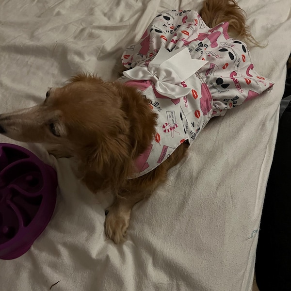 Dog Snuggle Bed Sewing Pattern and Tutorial PDF Dog Sleeping Sack Dog ...