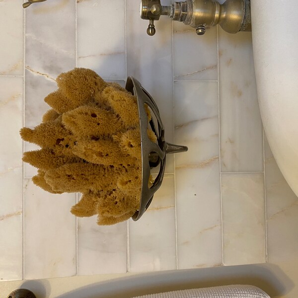 Nautical Gifts 7 VARIETY Tabletop Display Sea Sponge Sea Shell Cottage ...