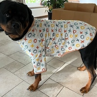 Dog Pajamas Sewing Pattern PDF Download | Size XXL | Large Dog Breed ...