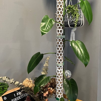 Mini Totem Insert for Orchidbox Mini Greatly Improves Interior ...