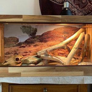 40 Gallon Desert Landscape Tank Background by Petbackdrops - Etsy