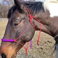 Soft Rope Halter Bitless Bridle Hackamore Diamond Paracord Overlay With ...