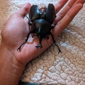 POTTER WASP / Hornet Insect Bug PVC Figure W/ Movable Joints - Etsy