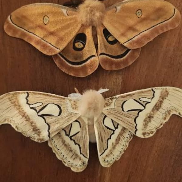 Hercules Moth , Needle Felted, Moth Figurine, Decoration, Handmade ...